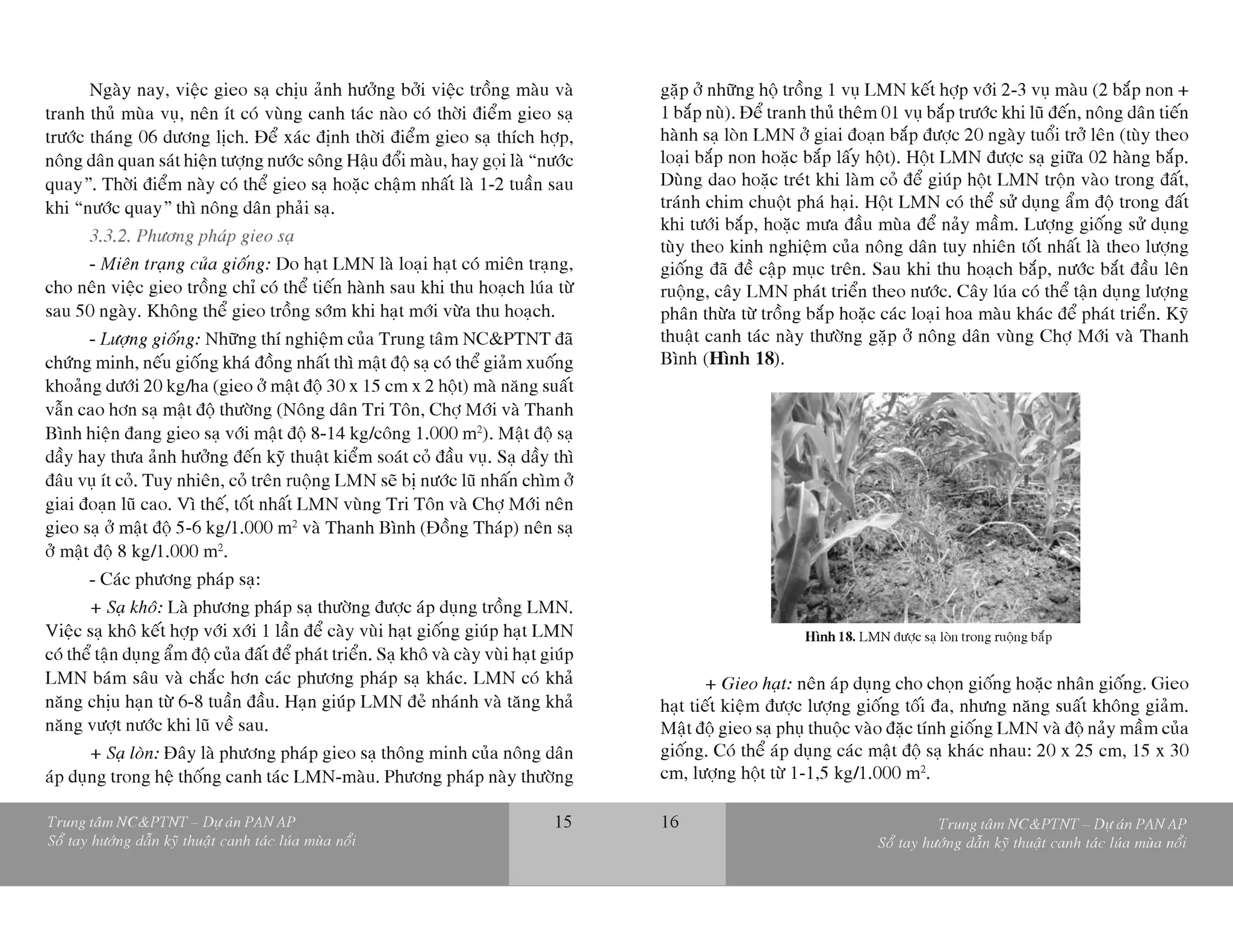 Floating rice technique book final | PDF
