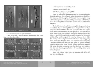 Floating rice technique book final | PPT