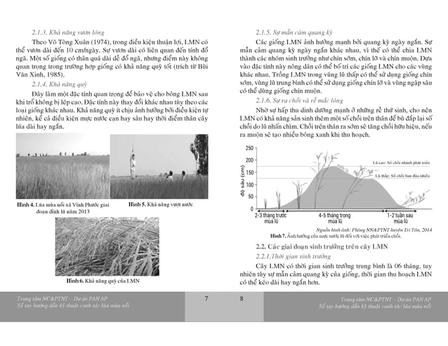 Floating rice technique book final | PPT