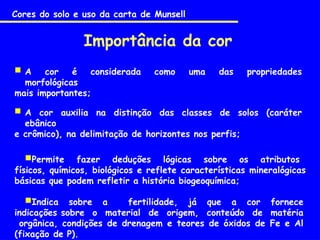 199542800-Apresentacao-de-cor-do-solo-e-uso-da-carta-de-Munsell.pptx