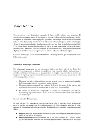 19973843 informe-estudio-y-manejo-del-microscopio | DOC