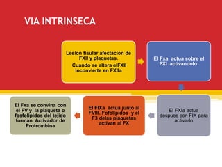 199792218-Power-Coagulacion-y-Hemostasia.pptx | First Aid | Injuries