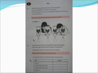 1997 Sats Science | PPT