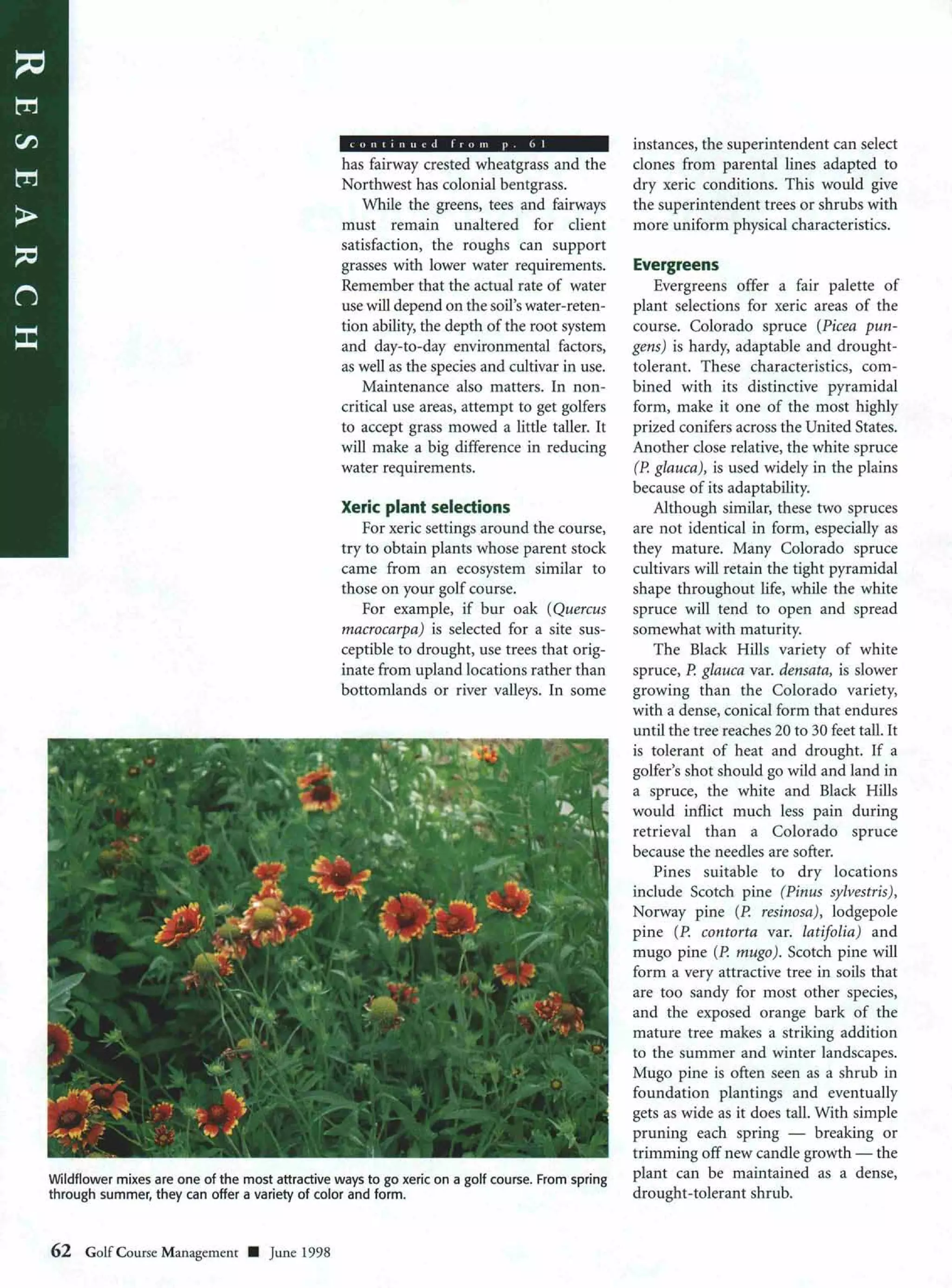 Water conservation with xeriscape principles Careful plant selection | PDF