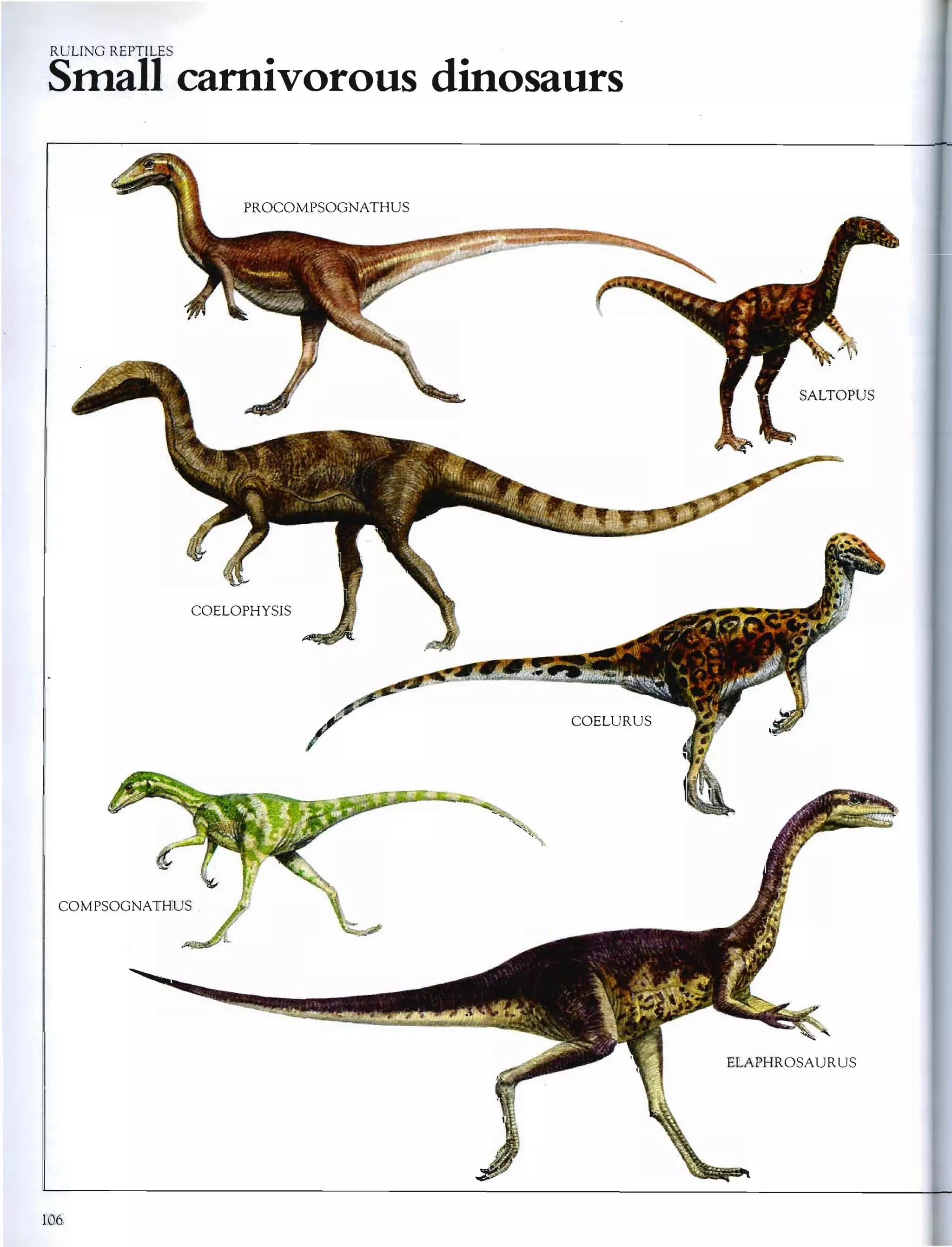 1999 - The Marshall Illustrated Encyclopedia of Dinosaurs and ...