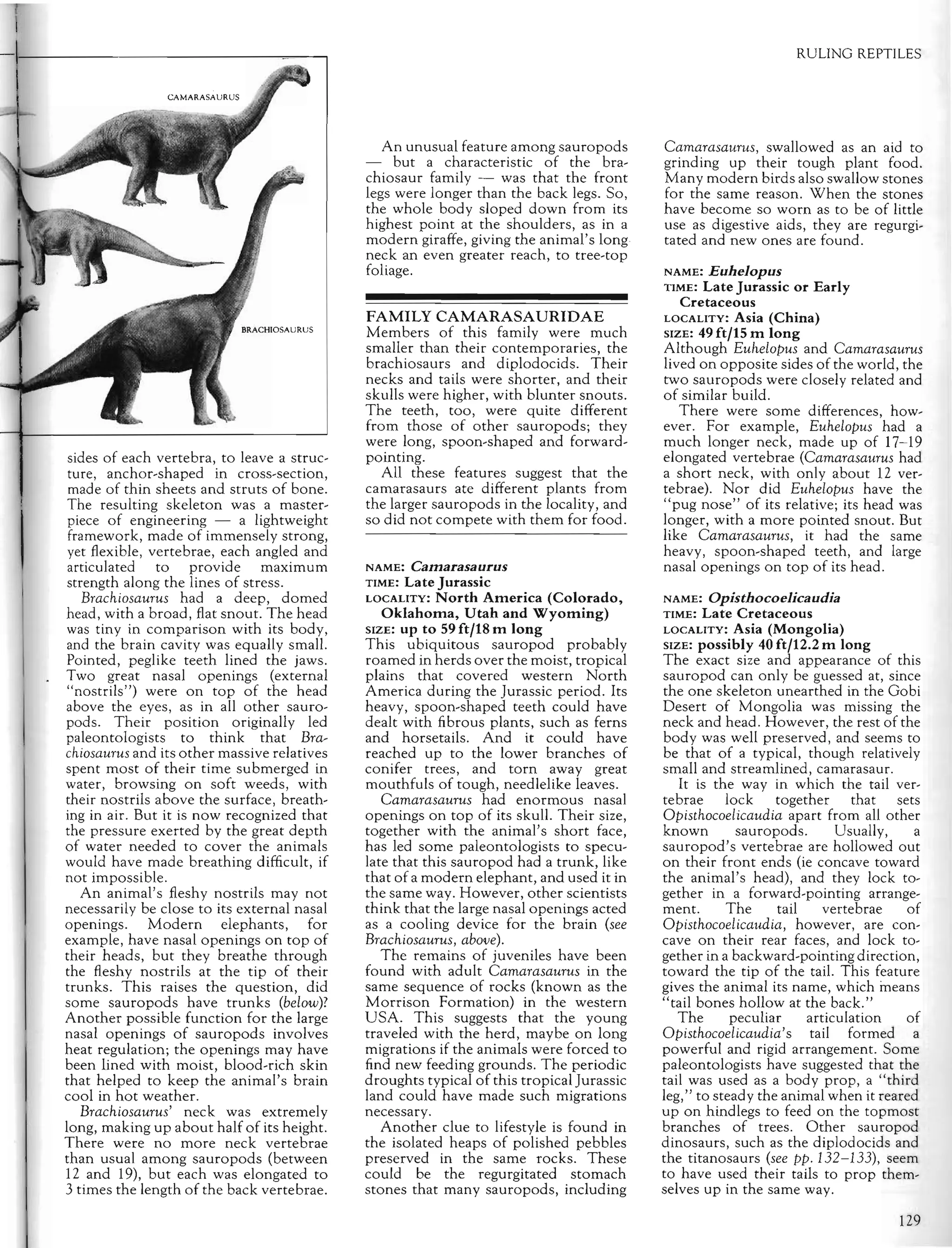 1999 - The Marshall Illustrated Encyclopedia of Dinosaurs and ...