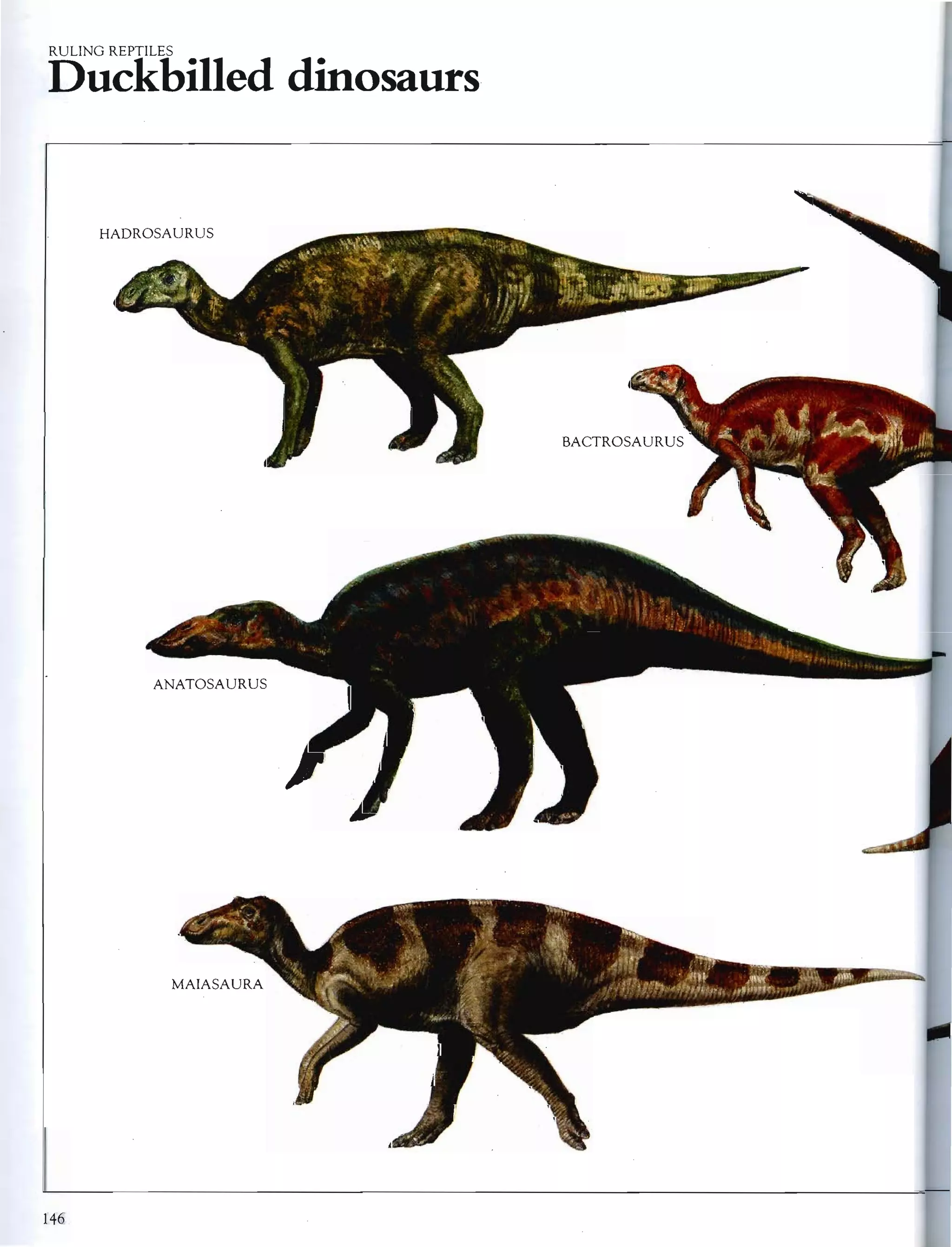1999 - The Marshall Illustrated Encyclopedia of Dinosaurs and ...