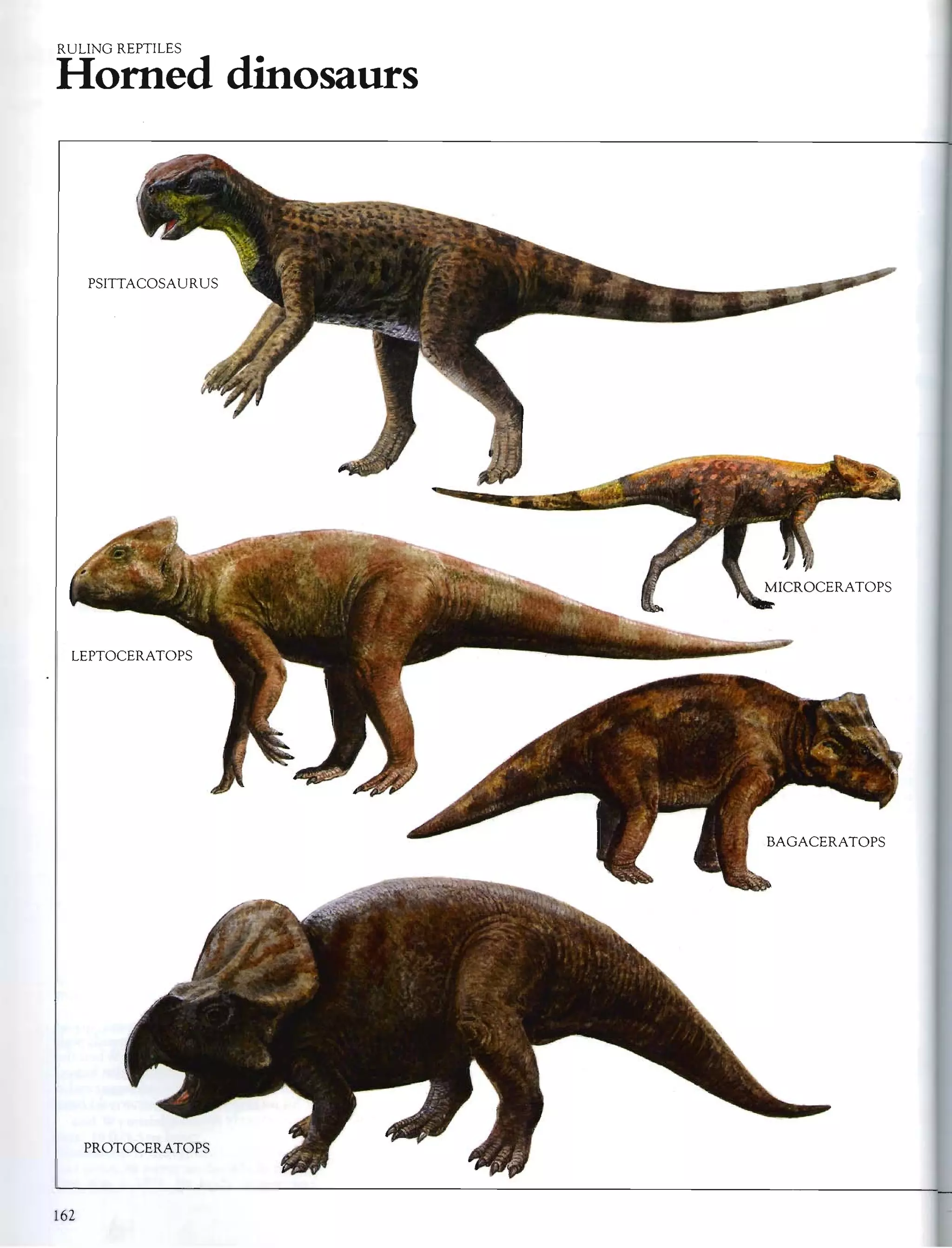 1999 - The Marshall Illustrated Encyclopedia of Dinosaurs and ...