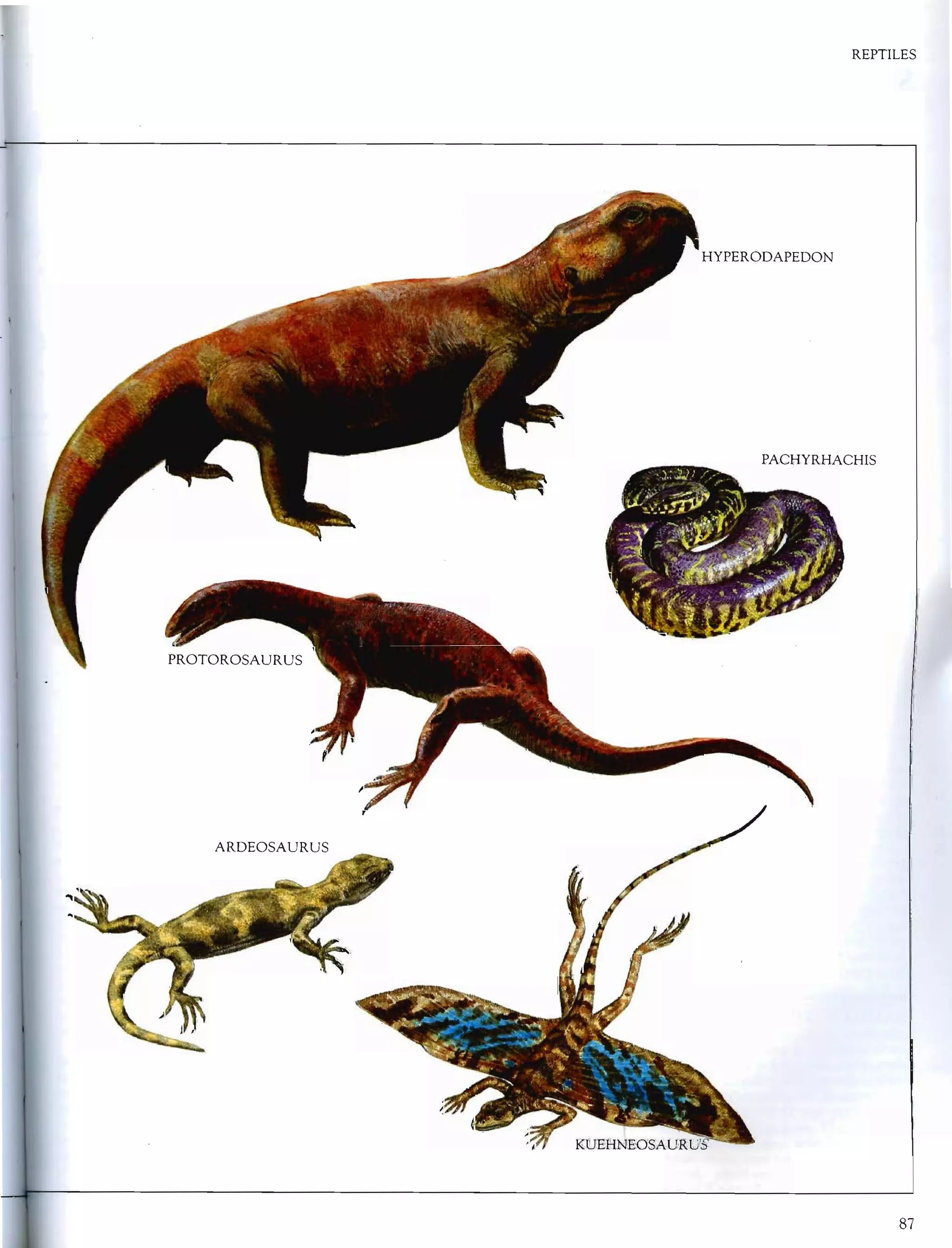 1999 - The Marshall Illustrated Encyclopedia of Dinosaurs and ...