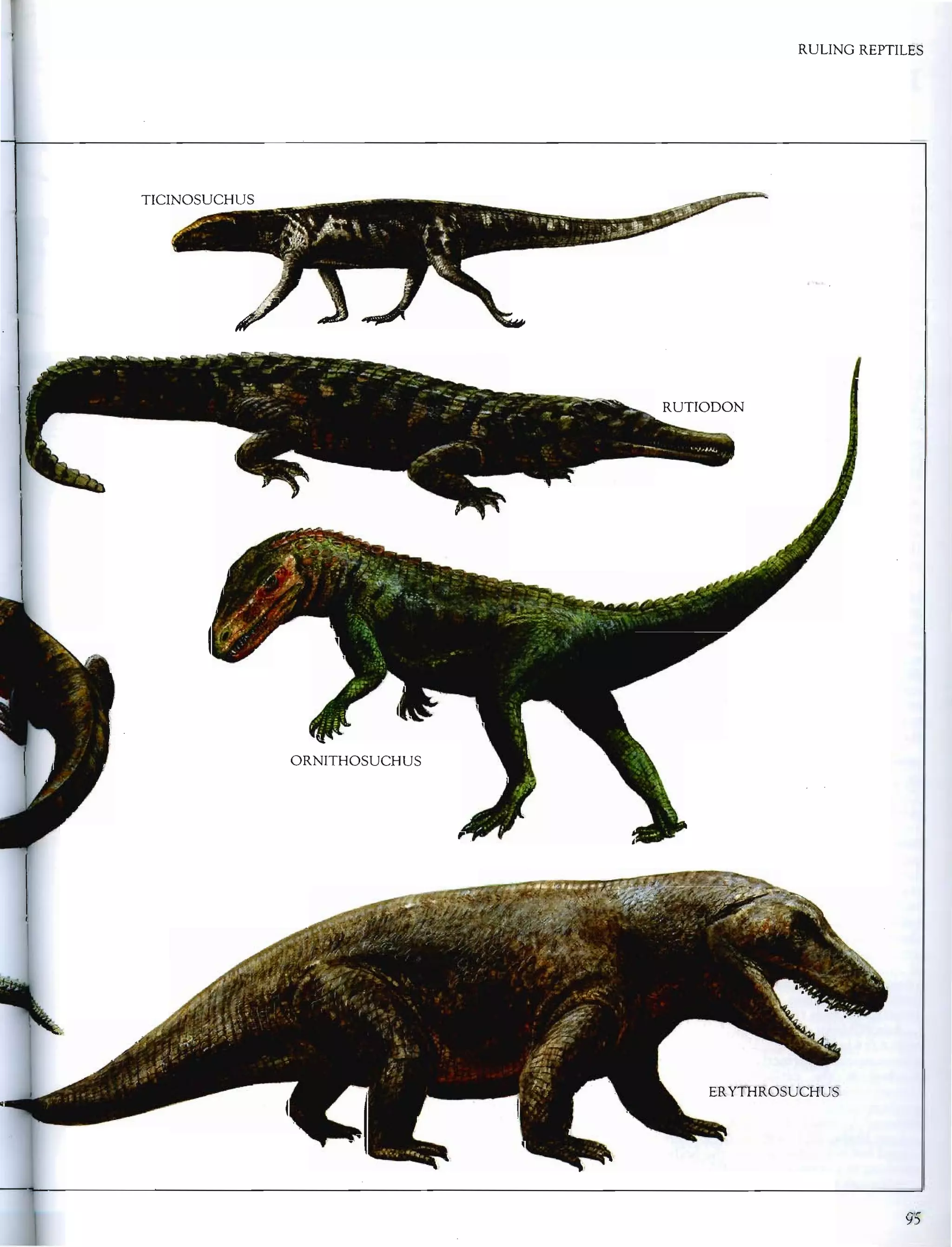 1999 - The Marshall Illustrated Encyclopedia of Dinosaurs and ...