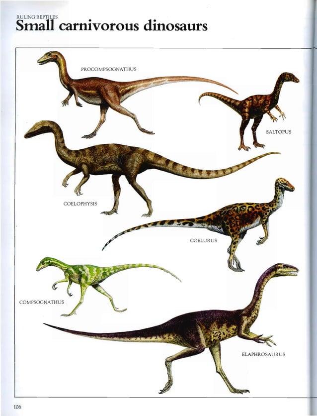 1999 - The Marshall Illustrated Encyclopedia of Dinosaurs and ...