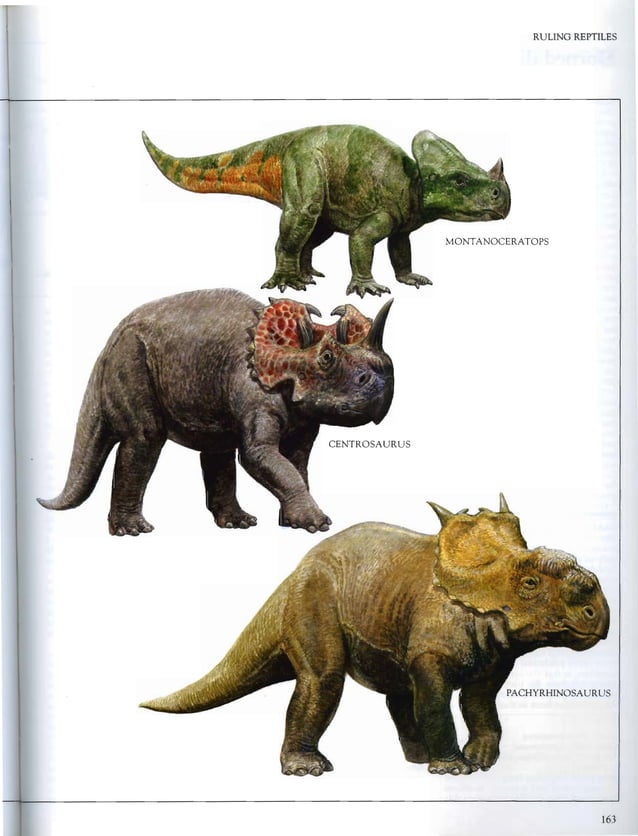 1999 - The Marshall Illustrated Encyclopedia of Dinosaurs and ...