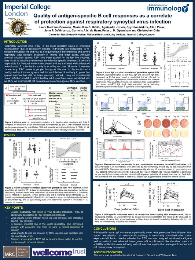 BSI poster | PDF