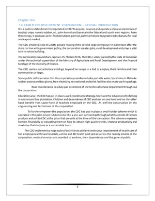 Idenau Internship | PDF