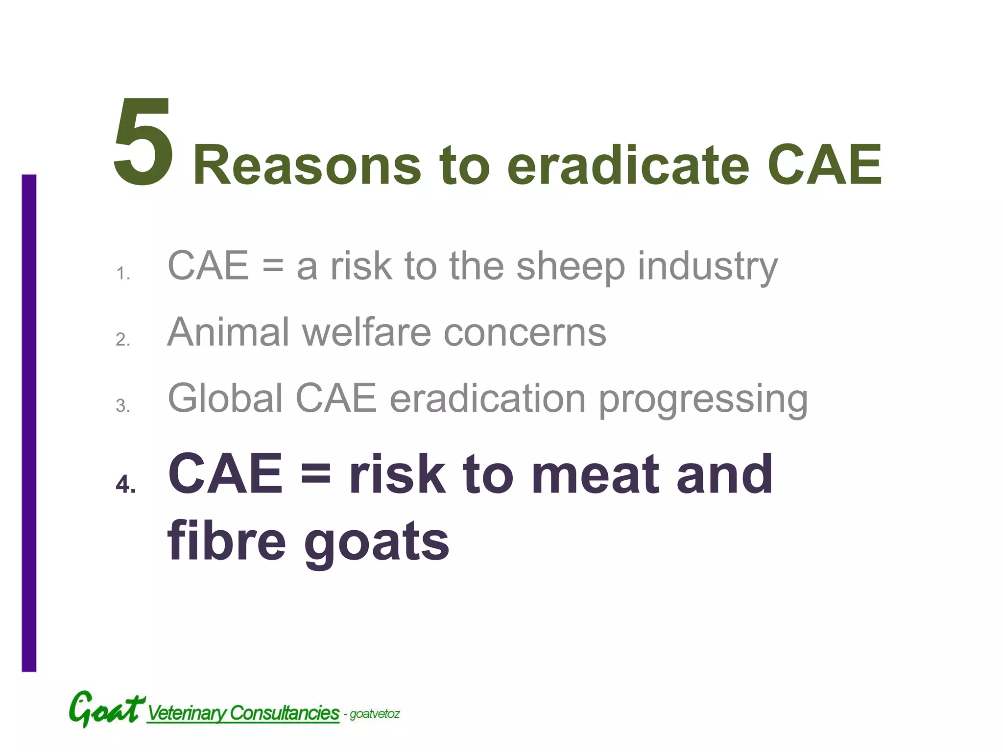 CAE and Johne's disease in goats | PDF