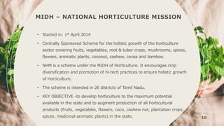 Schemes in Horticulture crops | PPTX