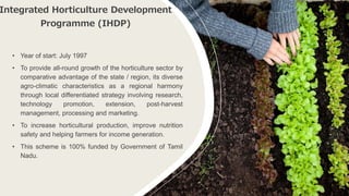 Schemes in Horticulture crops | PPTX