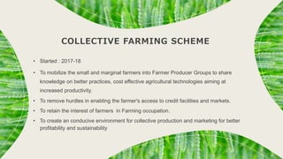 Schemes in Horticulture crops | PPTX