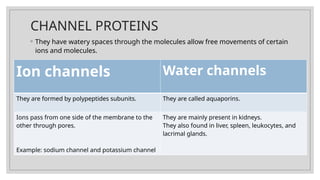 Transport_across_cell_membrane____. pptx | PPT