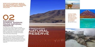 Intense Bolivia - Brochure ENG | PDF