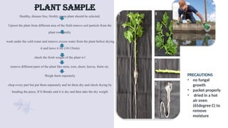 Leaf colour chart ,Soil sampling , determination of bulk density ...