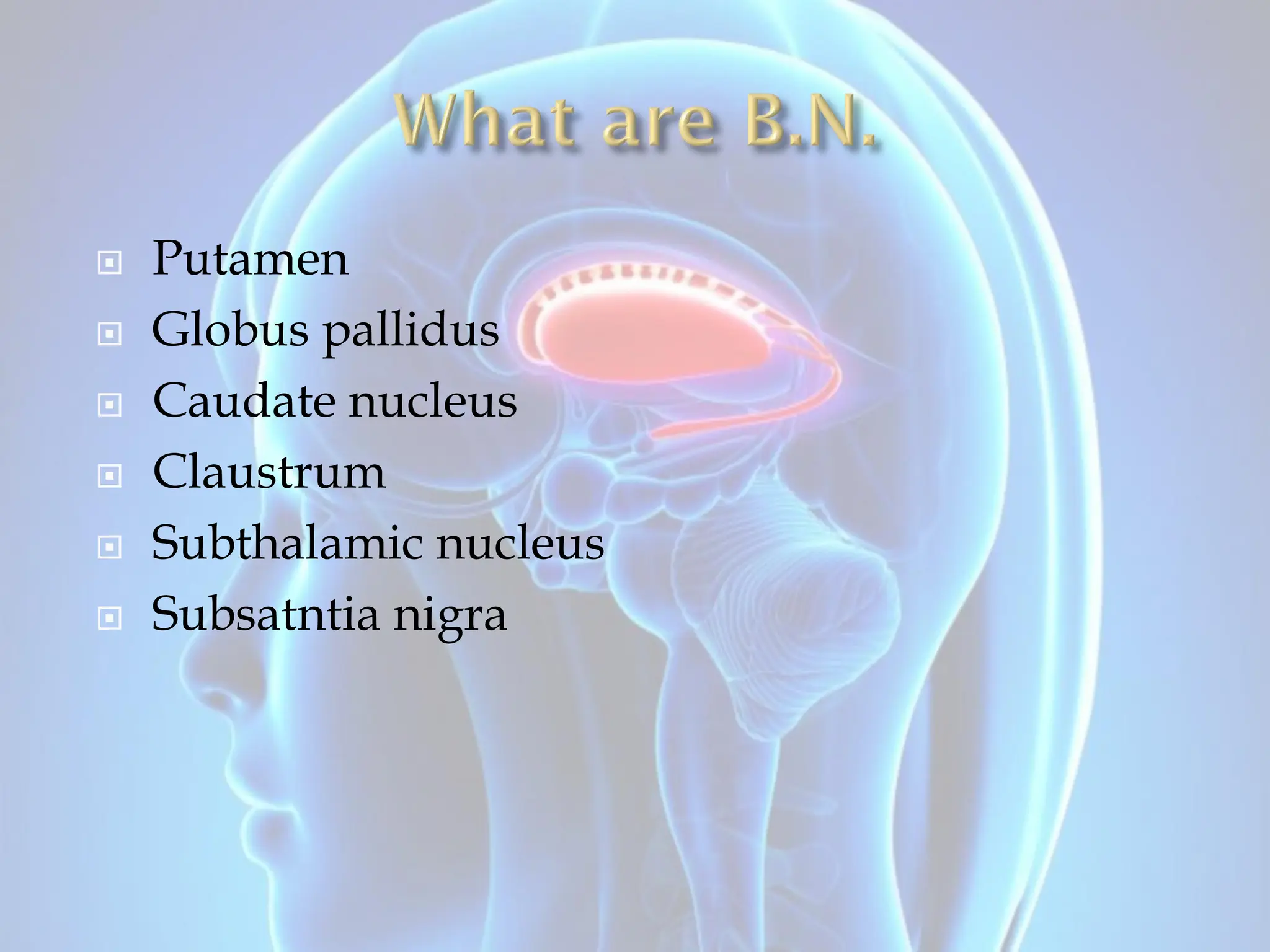 Detailed presentation slides about Basal Nuclei | PPT