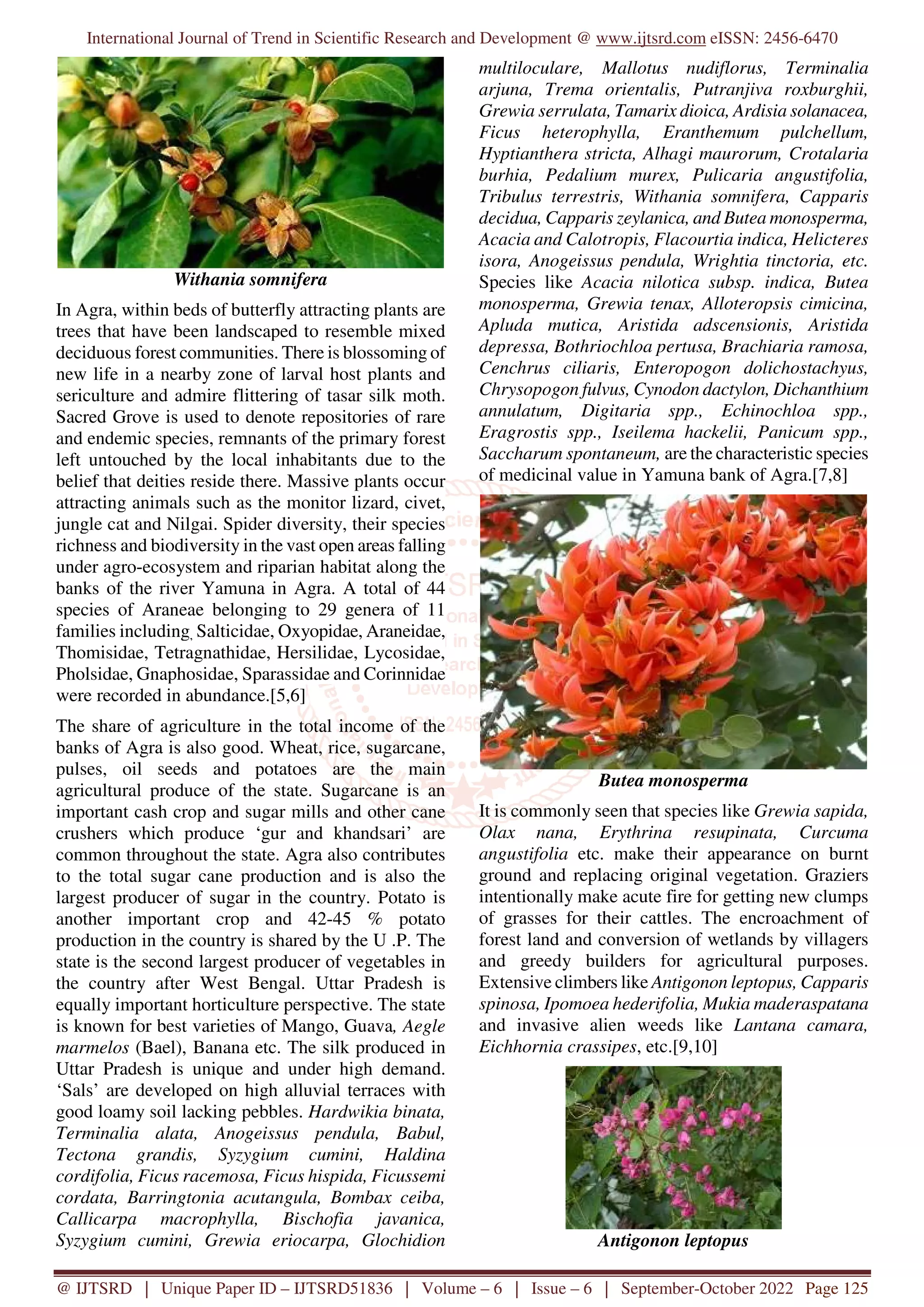 Biodiversity of Medicinal Plants at River Bank of Yamuna, Agra, Uttar ...