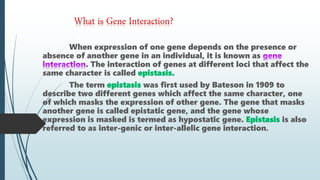 Interaction of Genes | PPT