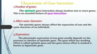 Interaction of Genes | PPT