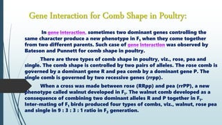 Interaction of Genes | PPT