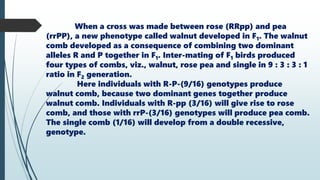 Interaction of Genes | PPT