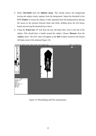 Calculation of FSA method | PDF