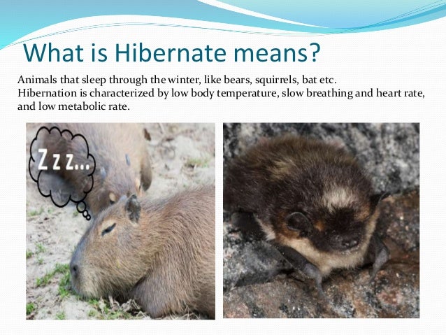 Hibernate Training Session1