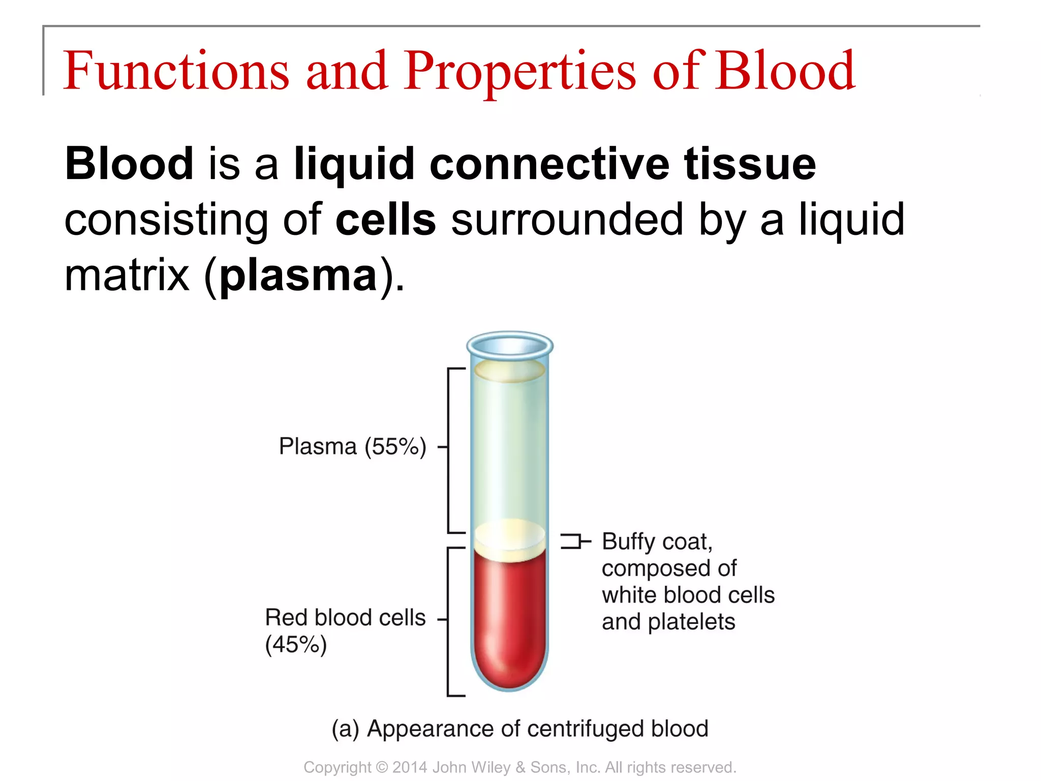 19 [chapter 19 the cardiovascular system the blood] | PPT