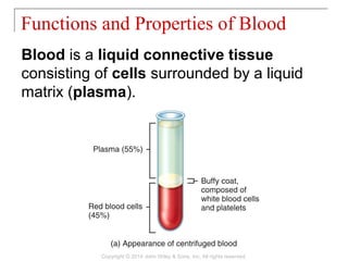 19 [chapter 19 the cardiovascular system the blood] | PPT