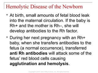 19 [chapter 19 the cardiovascular system the blood] | PPT