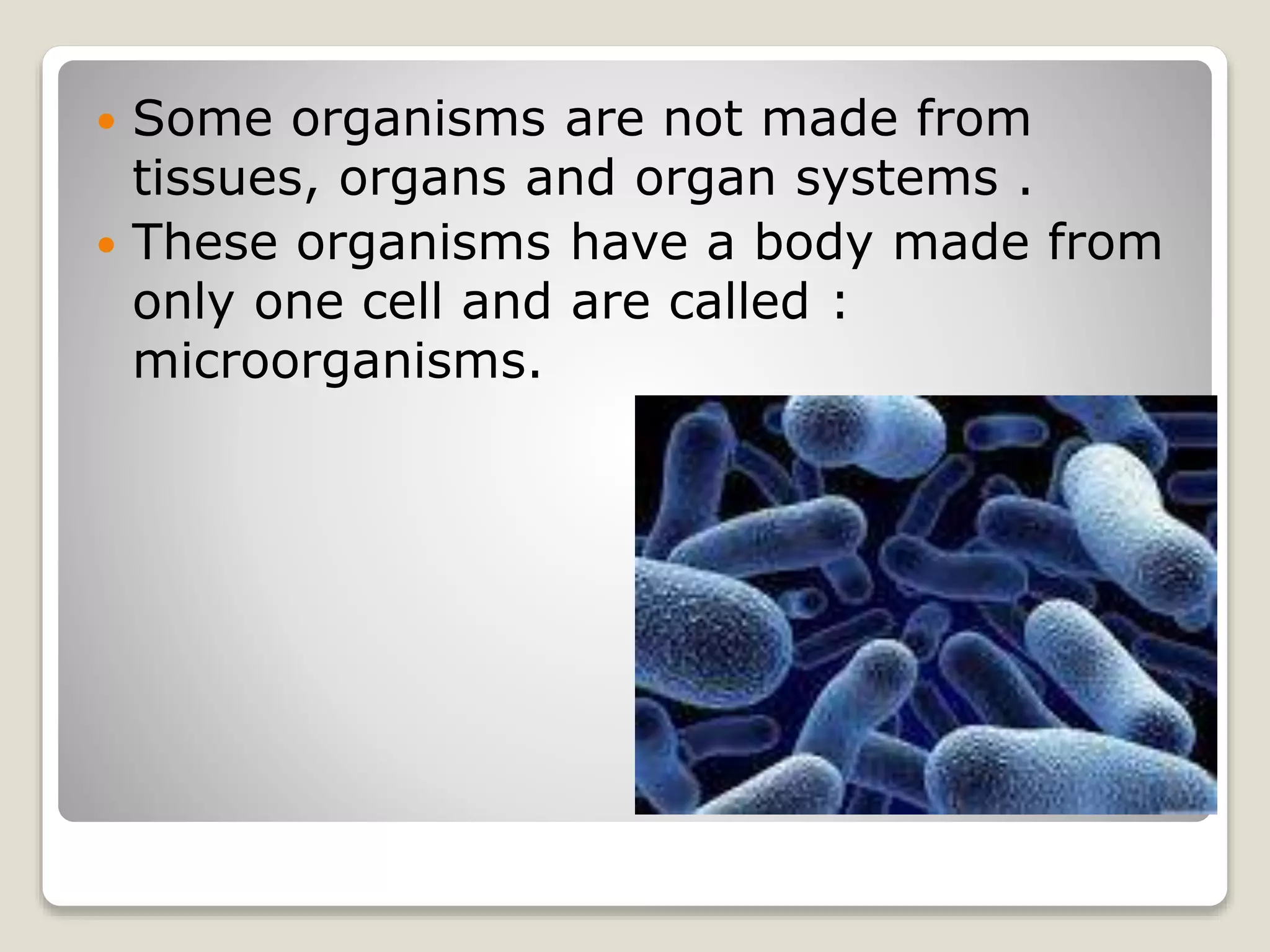 19 chapter 4microorganisms introduction | PPTX