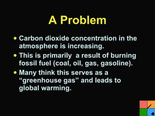 Carbon Negative PowerPoint | PPT