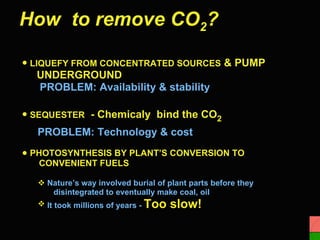 Carbon Negative PowerPoint | PPT