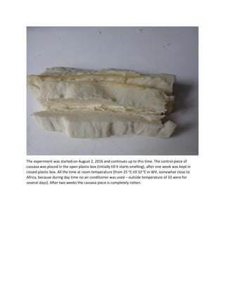 A report about the Cassava treatment by the iron salt | PDF