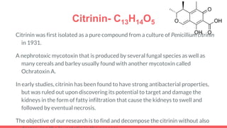 Citrinin_Lovastatin Thermal Stability in Mushrooms | PPTX