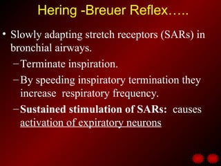 19 dec.ppt control of respiration physiology | PPT