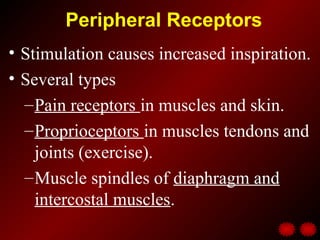 19 dec.ppt control of respiration physiology | PPT