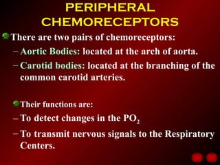 19 dec.ppt control of respiration physiology | PPT