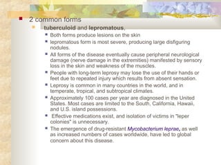 Diseases of the Nervous System Meningitis Leprosy | PPT