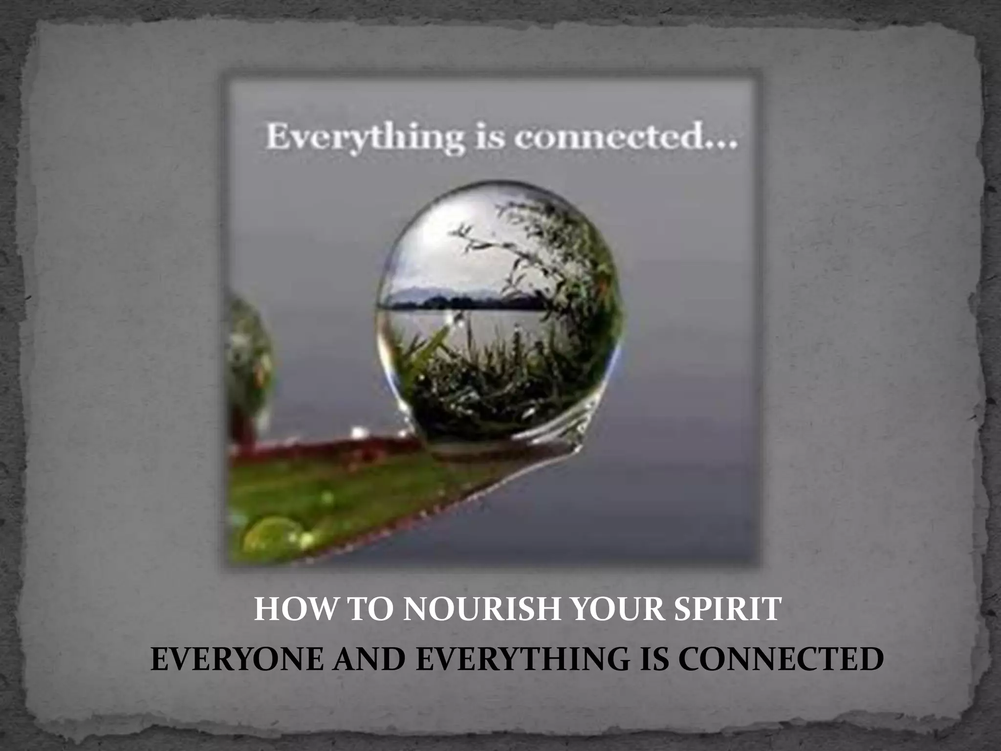 Everyone and everything is connected | PPT