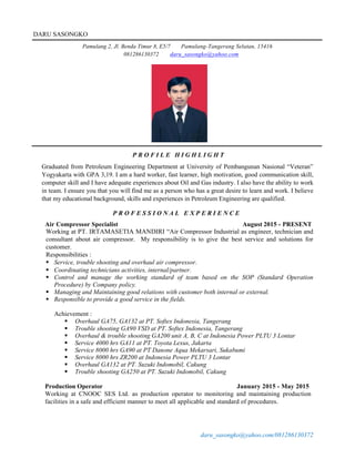 CV Daru S | PDF | Business | Business and Finance