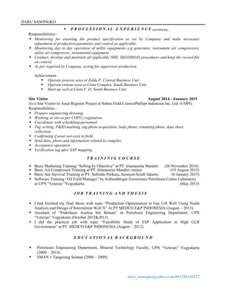 CV Daru S | PDF | Business | Business and Finance