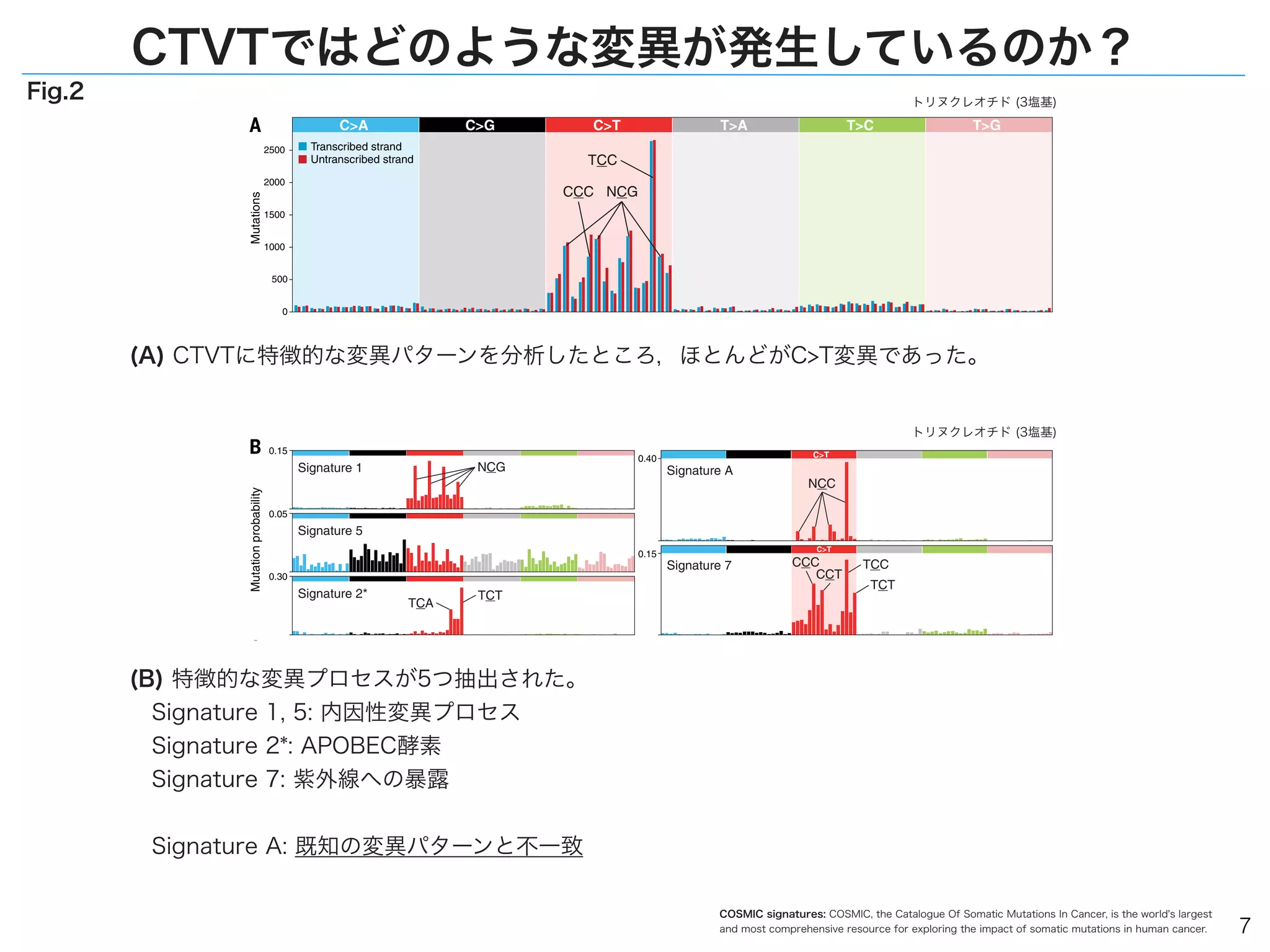 [論文紹介] 古代の伝染性がん系統の体細胞進化と世界的拡大 (Somatic evolution and global expansion ...