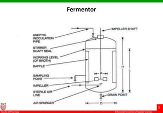 19 Fermentor.ppt